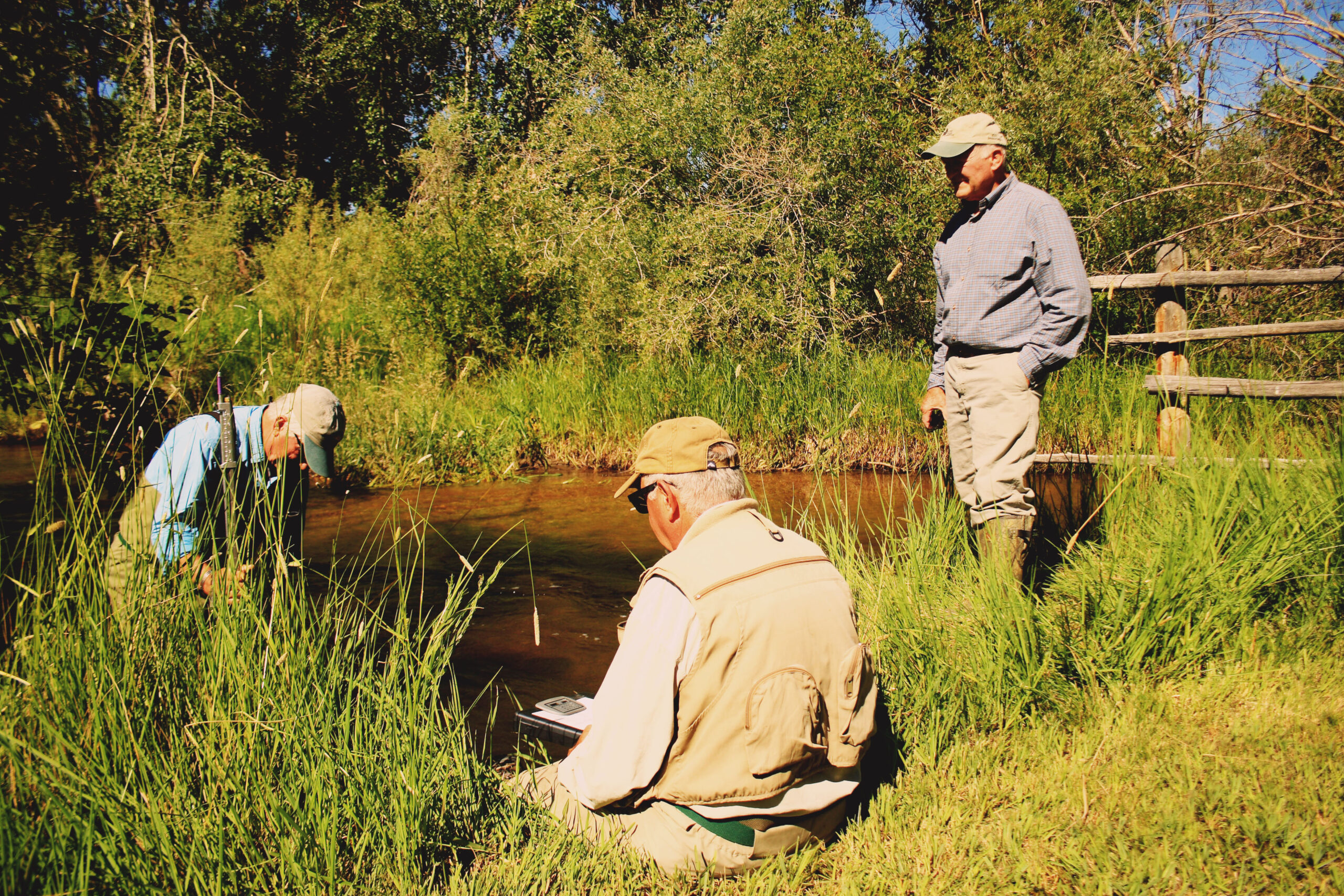 Madison Stream Team | Madison Conservation District